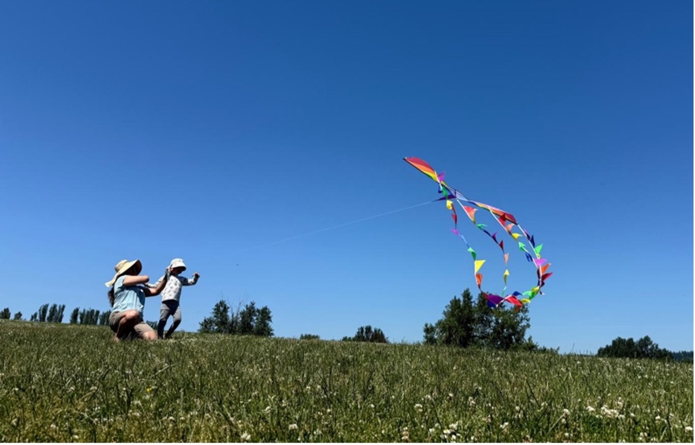 The Invisible String of Leadership: Lessons from a Kite and a Quiet ...